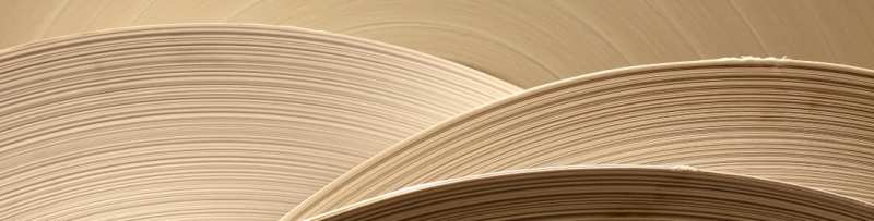 Pulp & Paper - ACCESS Rudolf Technologies