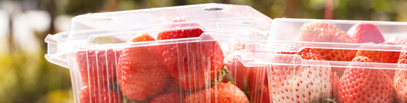 Food Processing & Packaging - ACCESS Rudolf Technologies